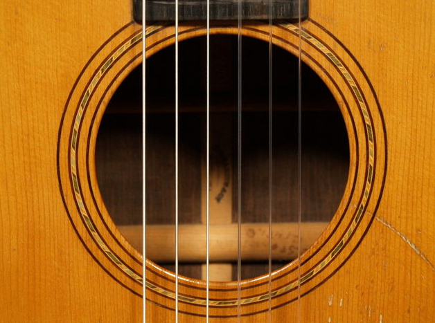 Catch of the Day: 1889 Martin 2 1/2-17 - Fretboard Journal